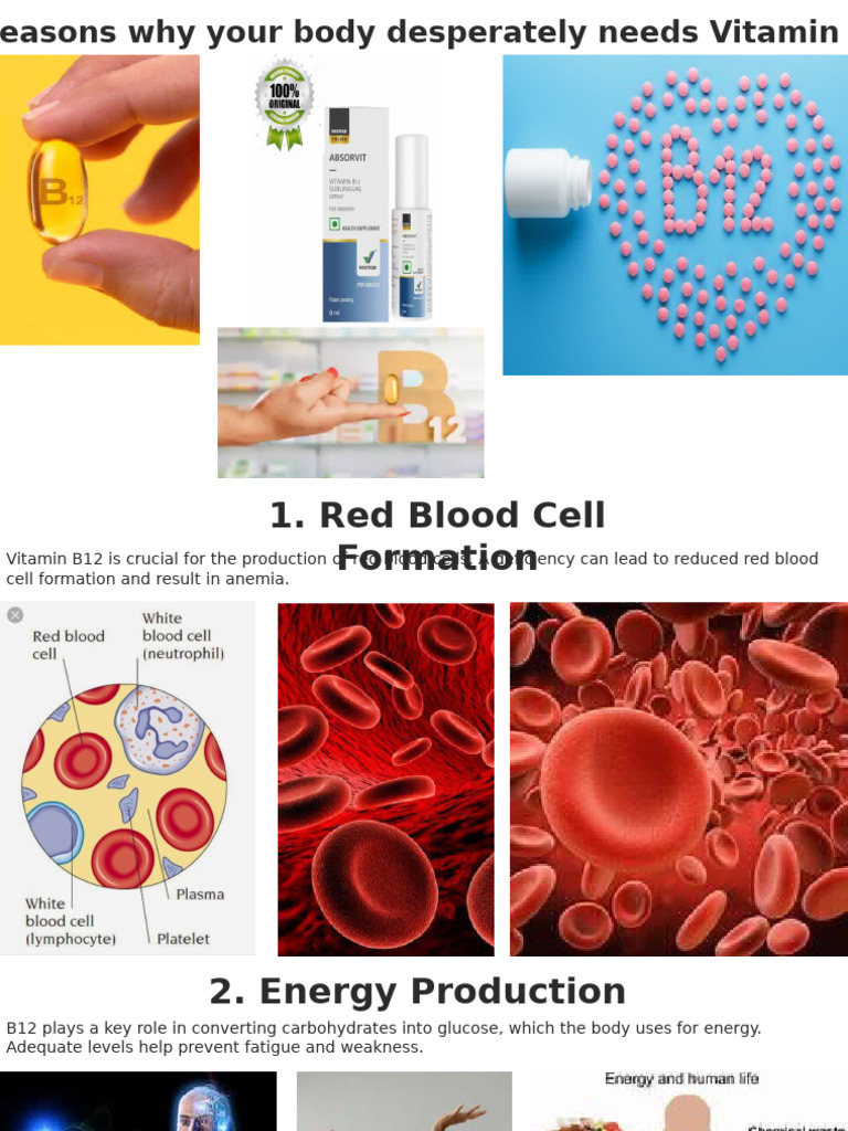 Essential Benefits of Vitamin B12 | PDF