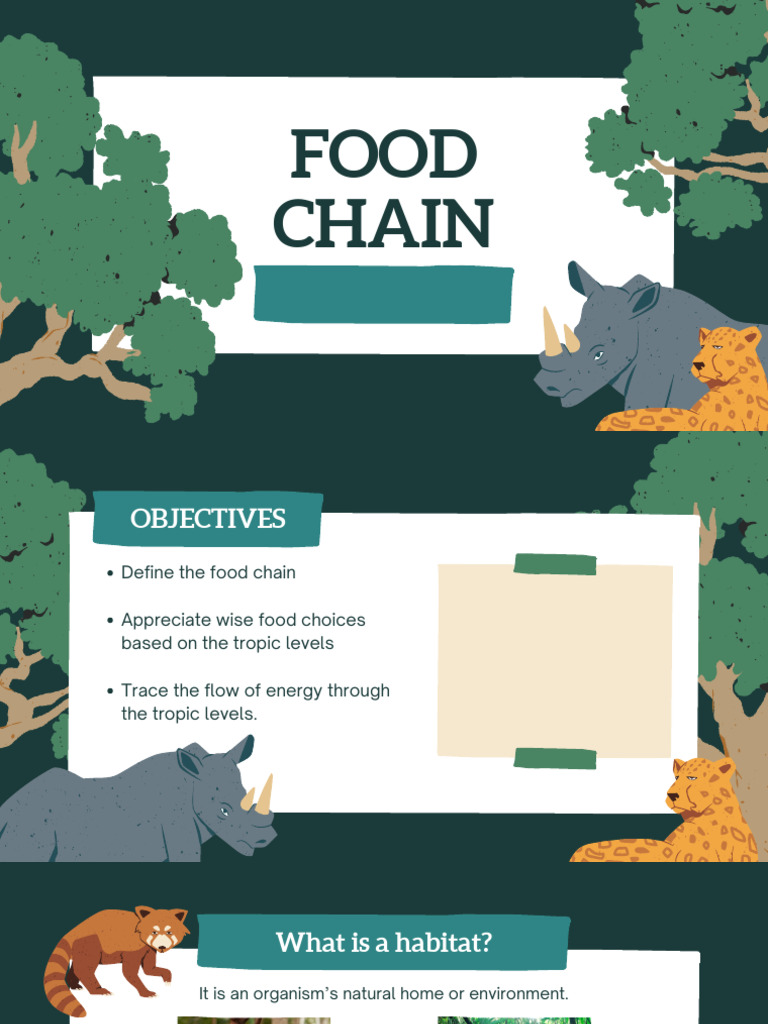 Educ Food Chain Demo Teaching | PDF