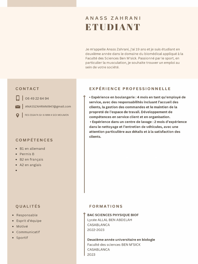 CV Français Professionnel Marron Simple | PDF