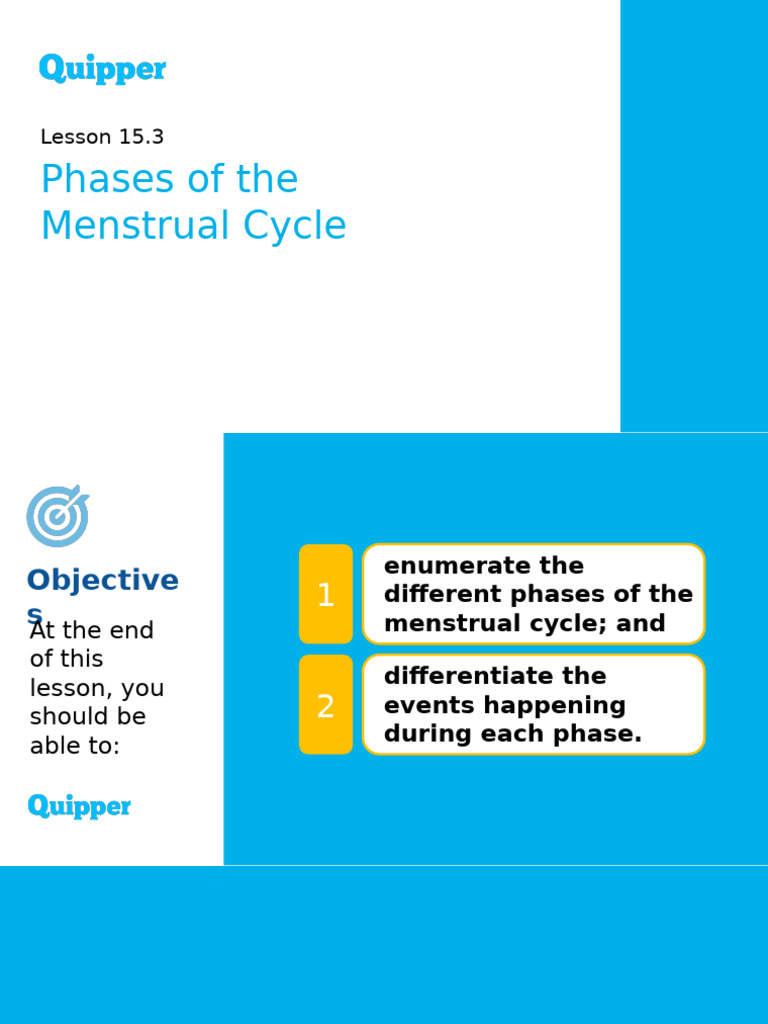 Understanding Menstrual Cycle Phases | PDF | Menstrual Cycle | Ovary