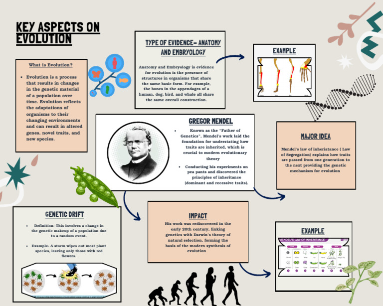 Key Aspects On Evolution | PDF | Evolution | Genetics