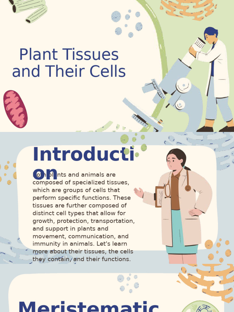 Exploring Cells in Detail Education Presentation in Hand Drawn Lightly ...