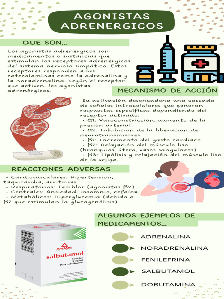 Infografia de Agonista Adrenergicos | PDF