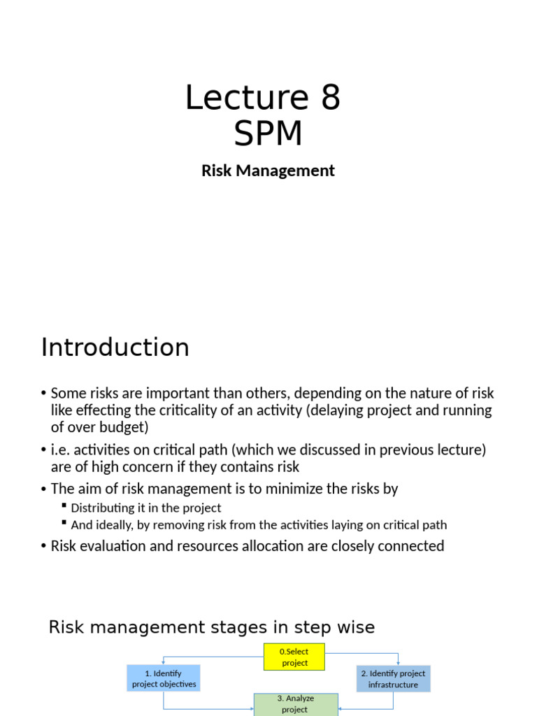 Effective Risk Management in Projects | PDF | Risk | Risk Management
