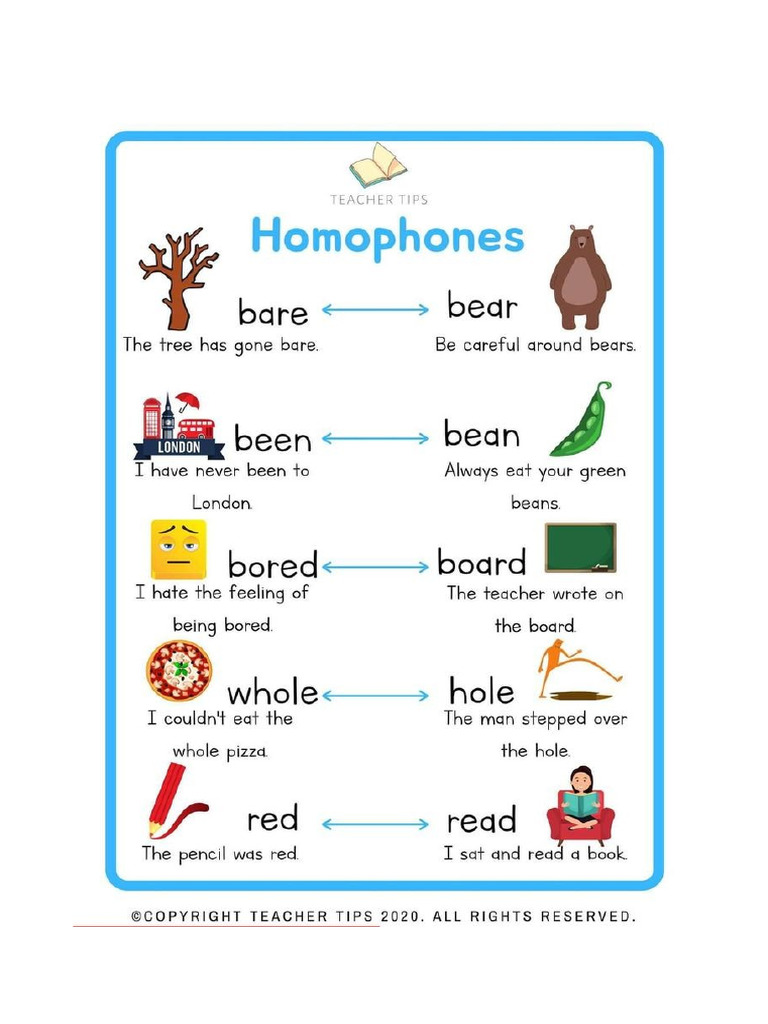 Homophones | PDF