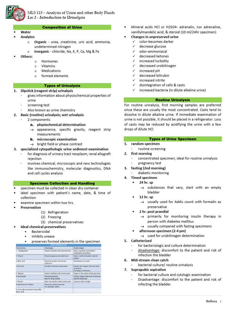 Att.6tLD01AzLoo3z0qkbxh2Cp VYD3FzQ9EOs9A8u PhN0 | PDF | Urine | Medical ...