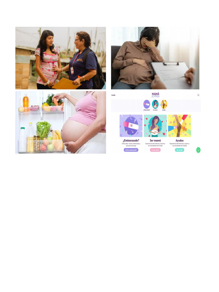 Imprimir Sandro PDF | PDF