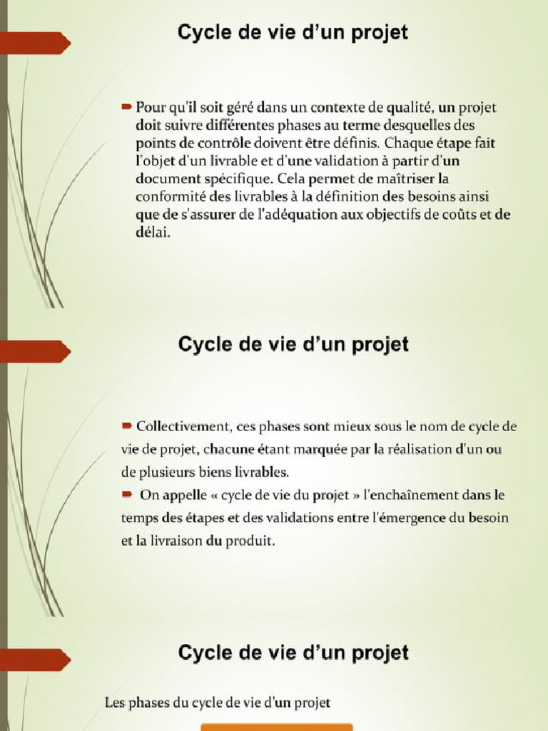 Organisation des structures de projet | PDF | Planification | Loi de ...