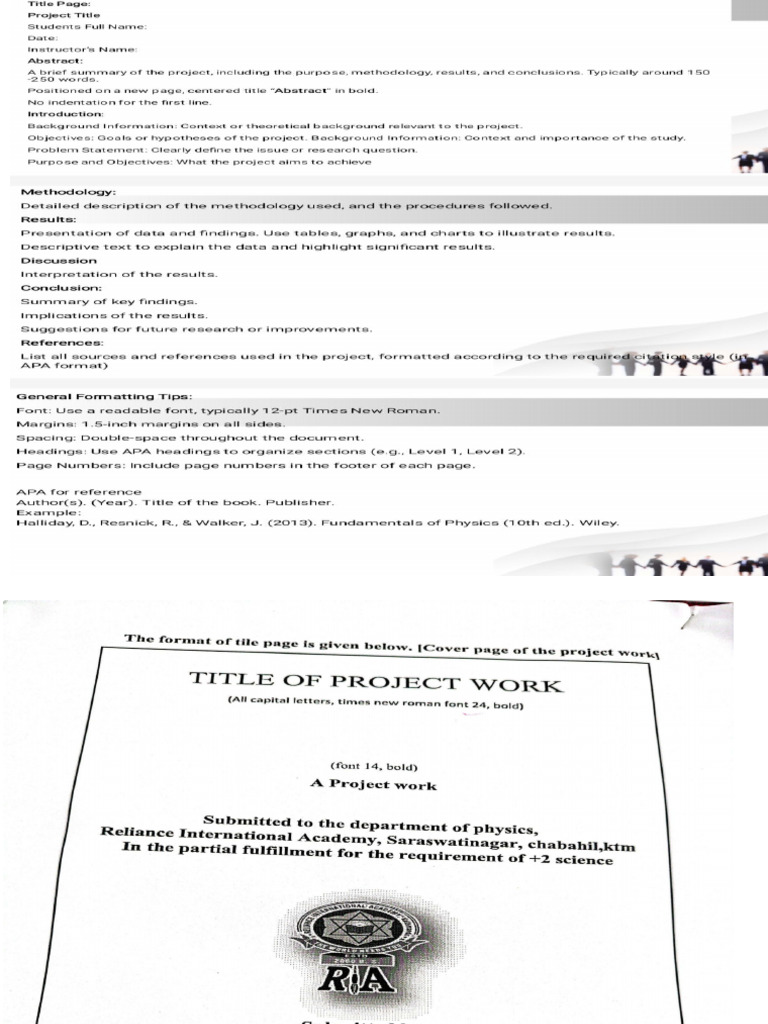 Project Work Guidelines - D93ac0f0 27c2 41d7 9548 4b394fba11e4 | PDF