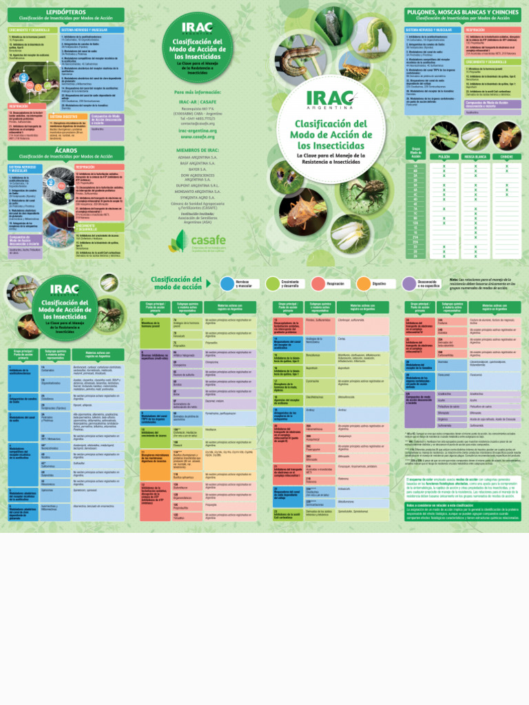 IRAC Clasificacion Modo Accion Insecticidas - 230207 - 213407 | PDF