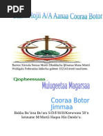 Cidha 1ffaa | PDF