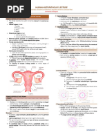 Female Reproductive Systems Rats | PDF | Ovary | Epithelium
