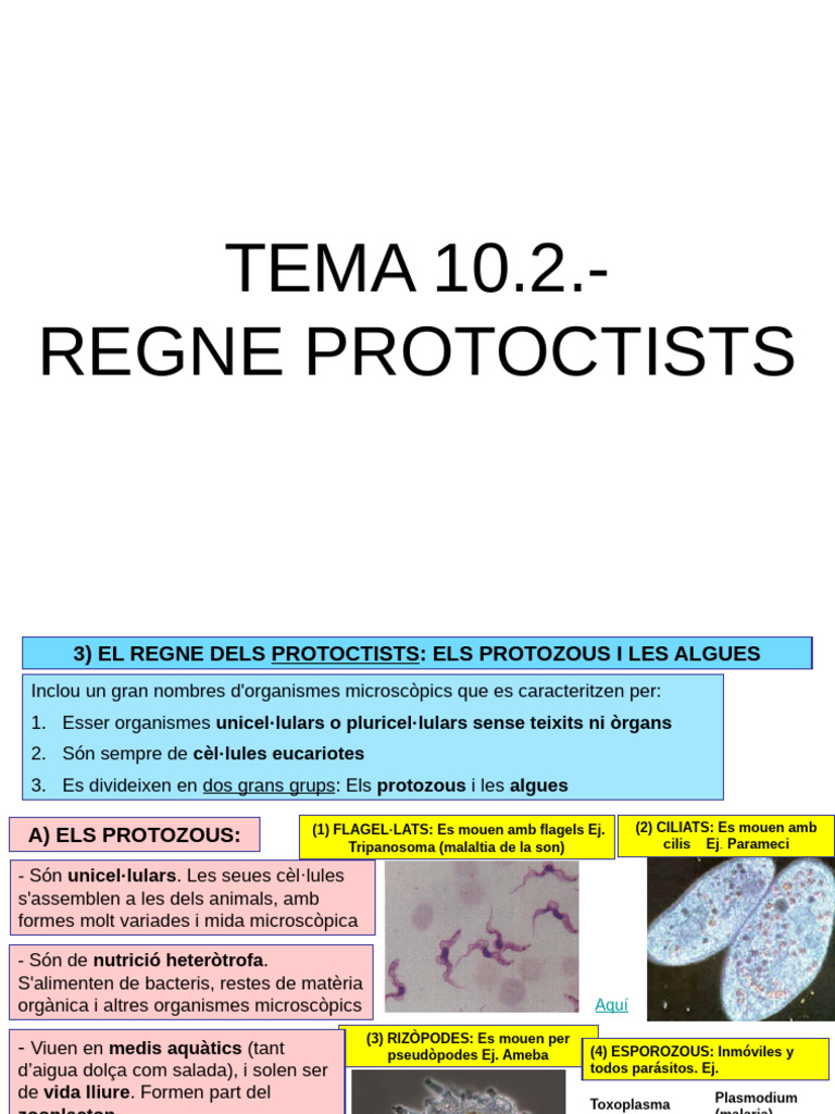 Tema 10.2. - Protoctists | PDF