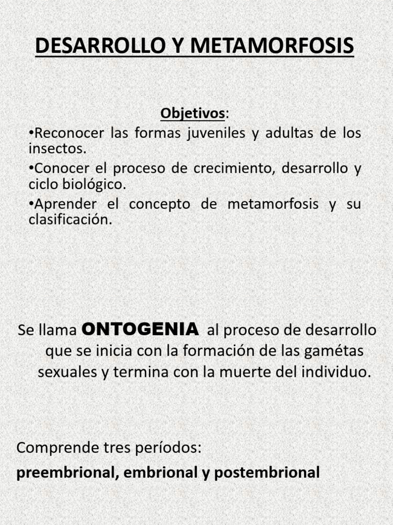 DESARROLLO Y METAMORFOSIS Clase 2 | PDF | Insectos | Larva