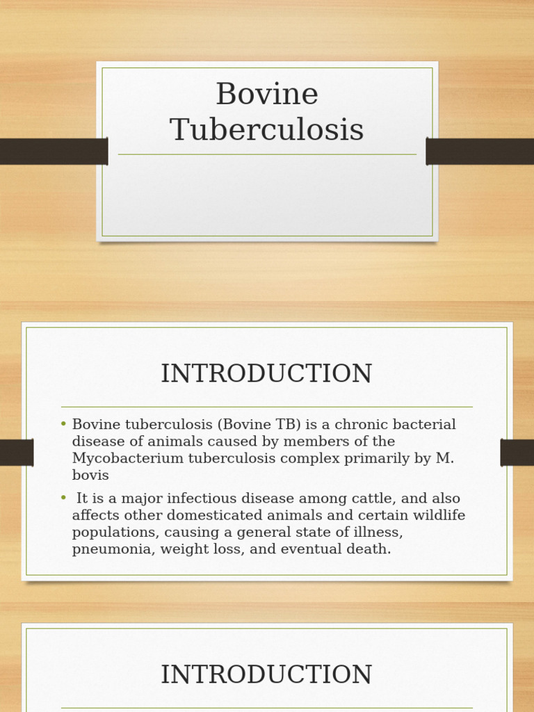 Bovine Tuberculosis, Rosario | PDF | Tuberculosis | Infection