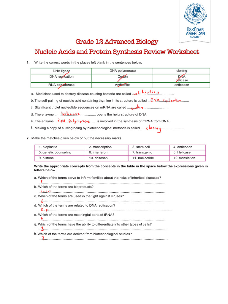 Biotechnology and Genetic Engineering Concepts | PDF | Translation ...