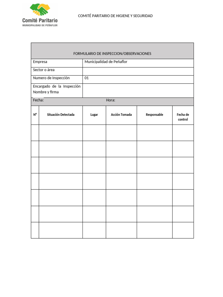 FORMULARIO DE INSPECCION | PDF