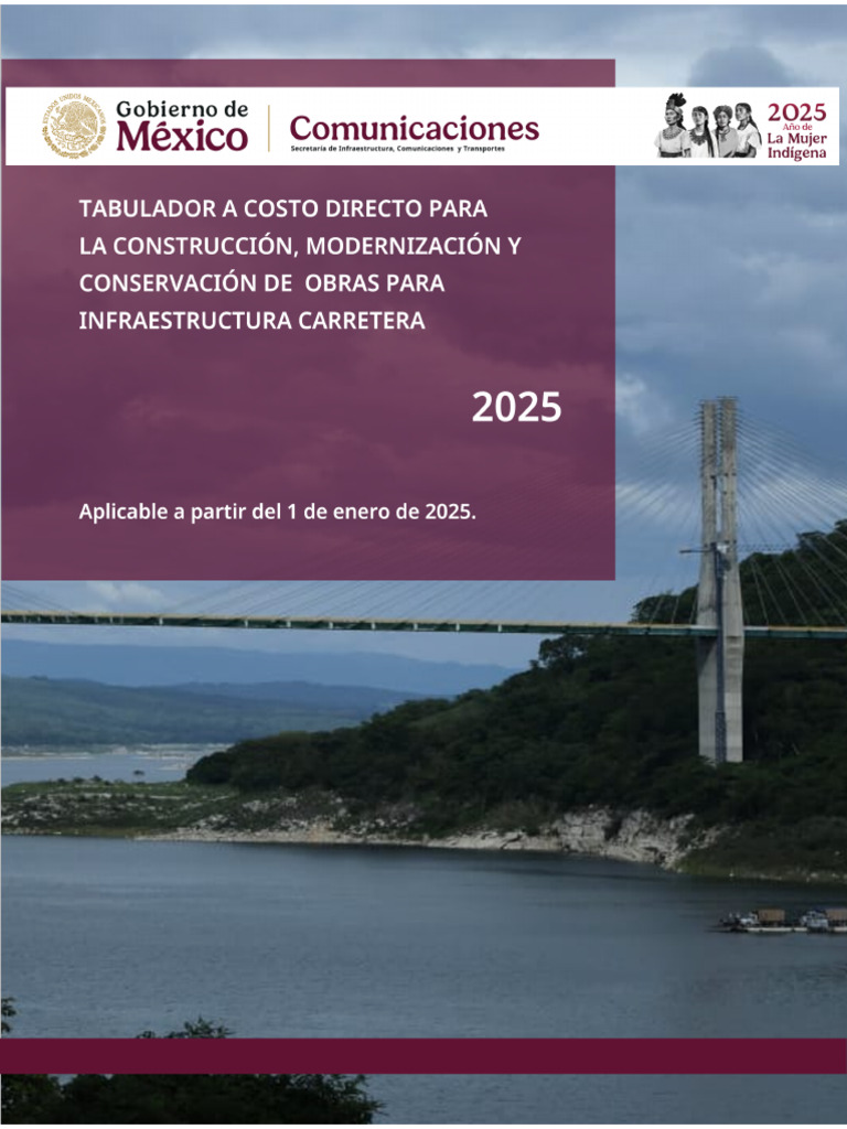 Tabulador Costos Construcción 2025 | PDF | Tipo de cambio | Salario