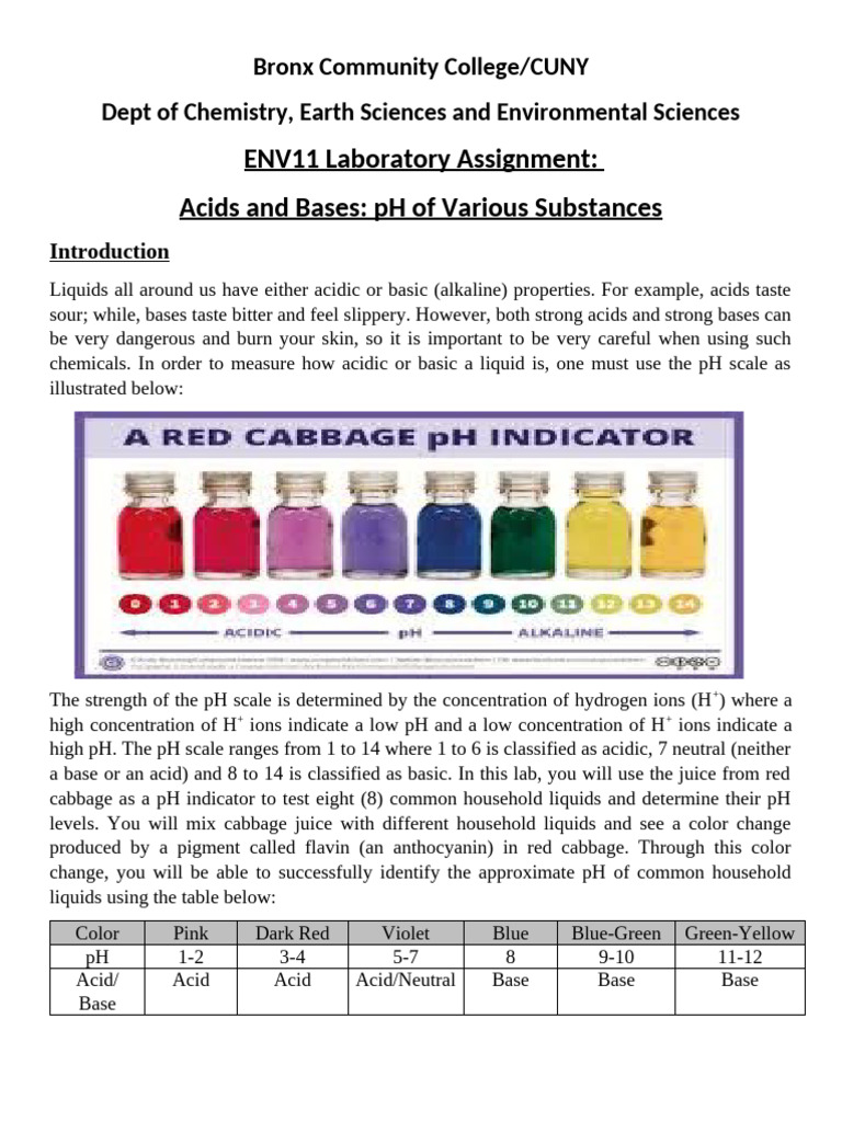 pH Testing with Red Cabbage Juice | PDF | Ph | Acid