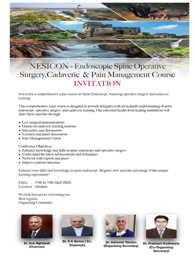 Endo Spine Conference | PDF | Endoscopy | Surgery