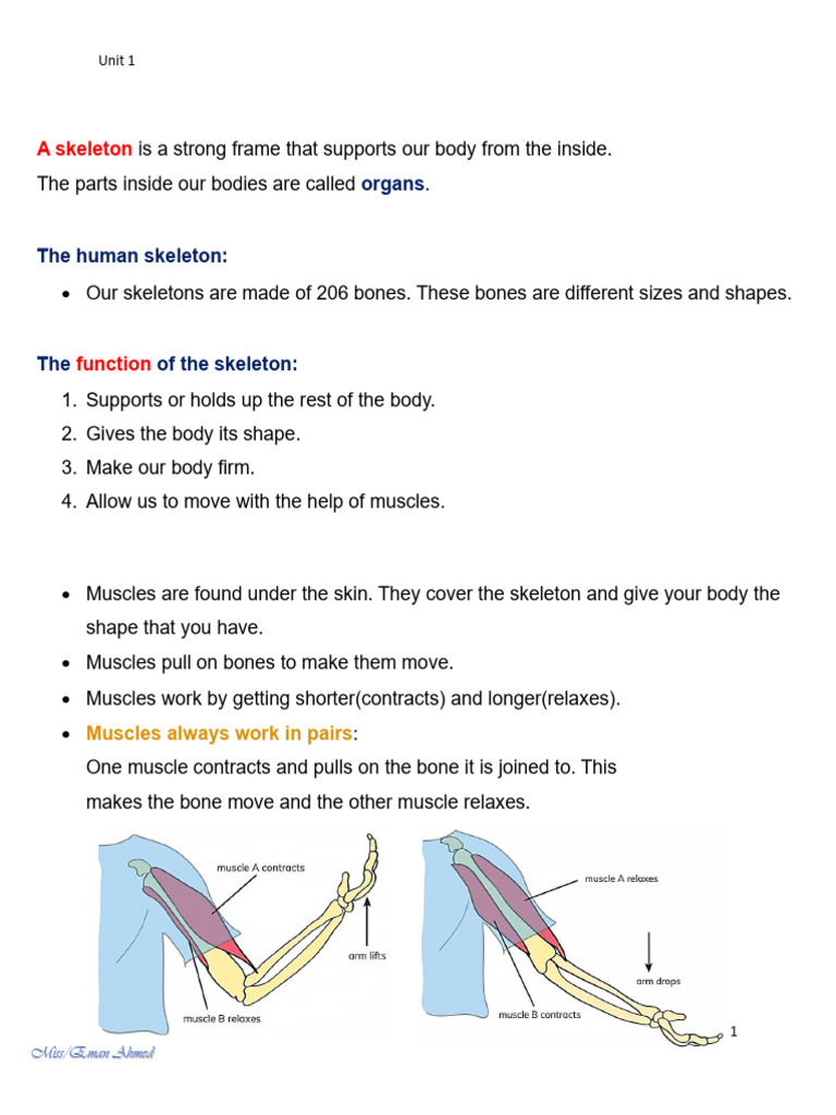 Grade 4 unit 1 | PDF | Skeleton | Reptile