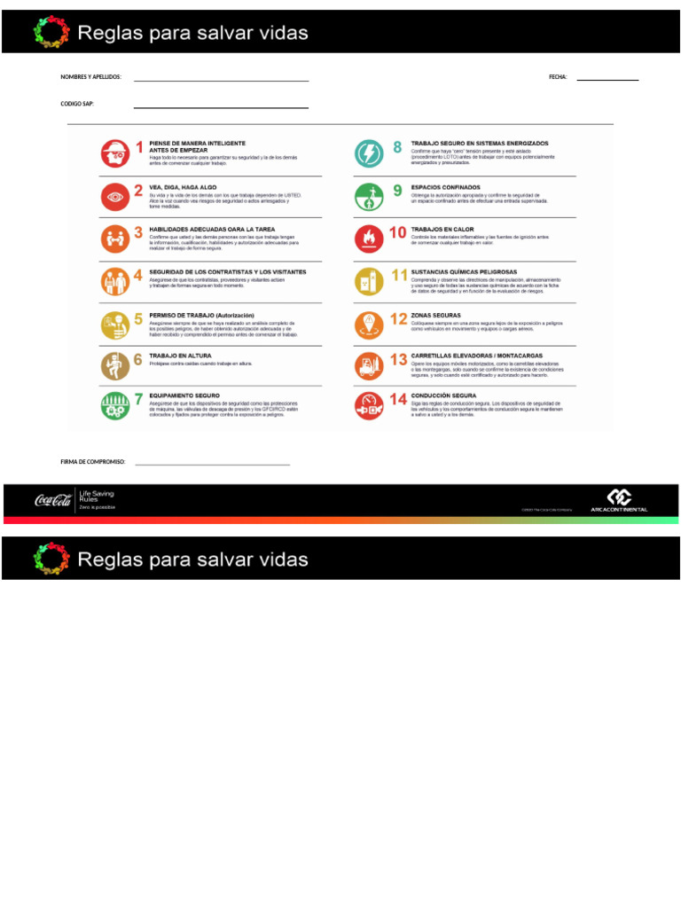 14 Reglas para Salvar Vidas | PDF