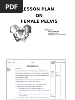 Preauricular Sulcus: Female Pelvis Study | PDF | Pelvis | Skeletal System