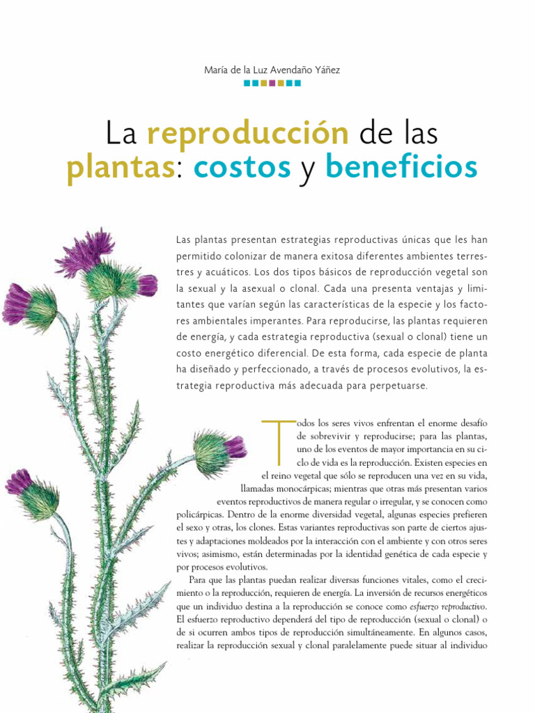 Reproduccion Plantas | PDF | Reproducción | Plantas