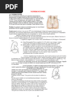 Cystostomie à minima : Technique et soins | PDF | Vessie | Appareil ...