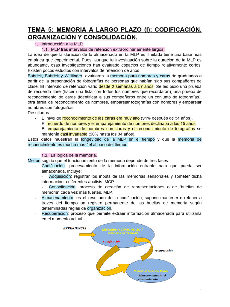 Wuolah Free TEMA 5 MEMORIA A LARGO PLAZO I CODIFICACION ORGANIZACION Y CONSOLIDACION Gulag Free ...