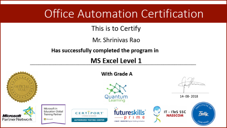 Ms Excel Level-1 | PDF