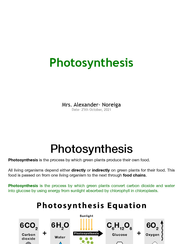 Biology Photosynthesis | PDF | Leaf | Photosynthesis