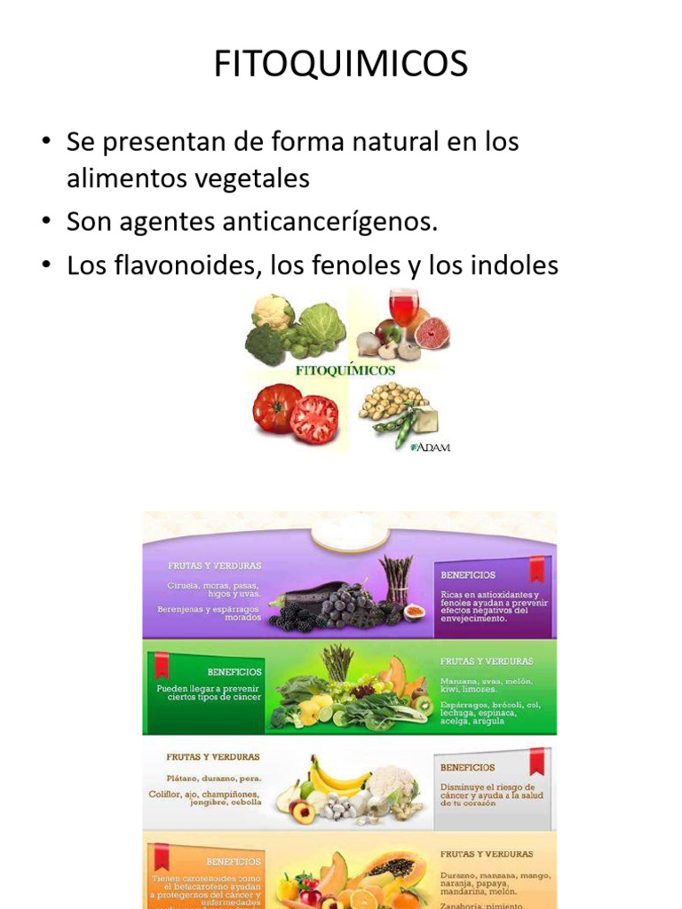 Beneficios del Agua y Nutrientes Esenciales | PDF