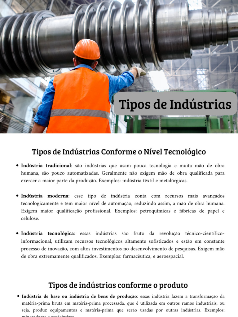 Tipos de Indústrias e Exemplos | PDF