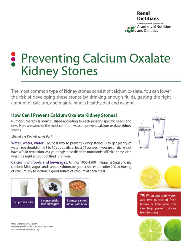 Calcium Oxalate Kidney Stones Renaldpg | PDF | Foods | Kidney