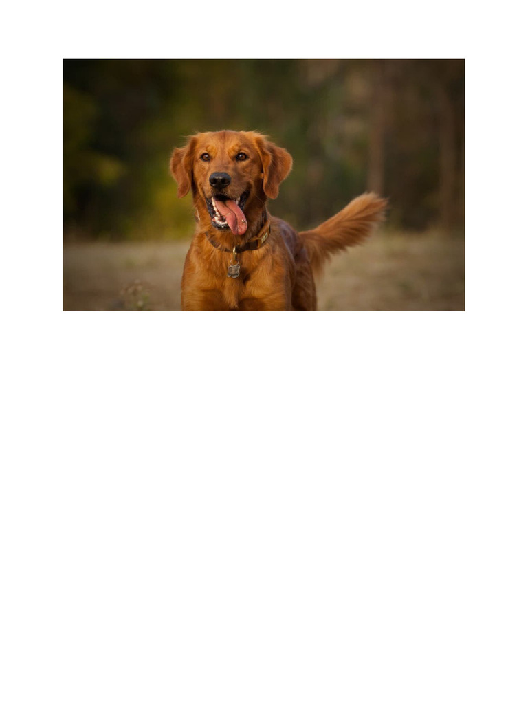 Nowy Dokument programu Microsoft Word — kopia (2) | PDF