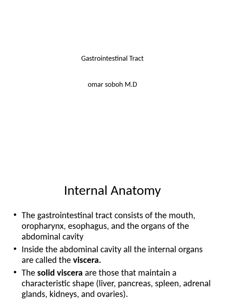 Gastrointestinal System | PDF | Abdomen | Stomach