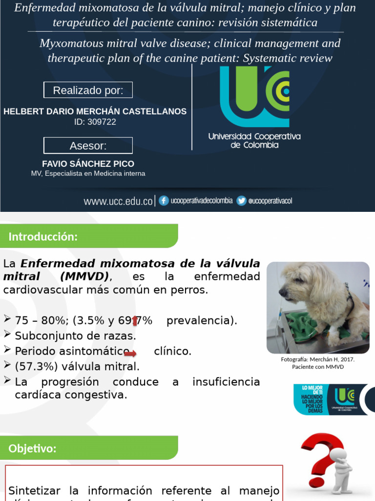 Enfermedad Mixomatosa de La Válvula Mitral | PDF | Sistema ...