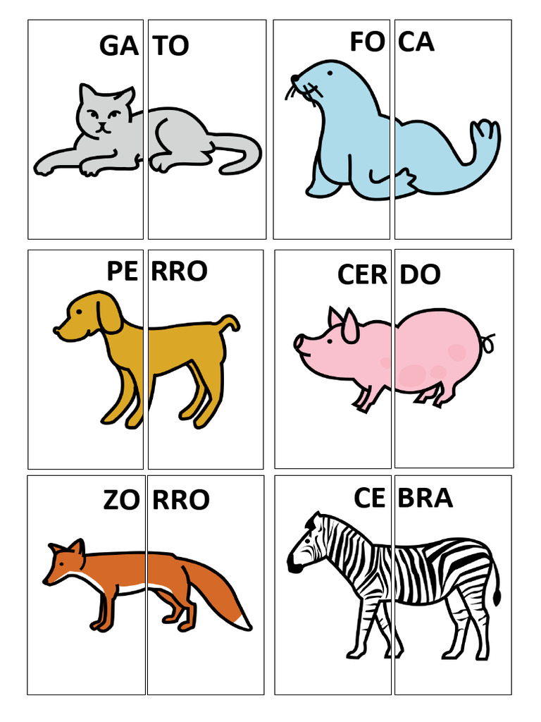 Simetría Animales | PDF