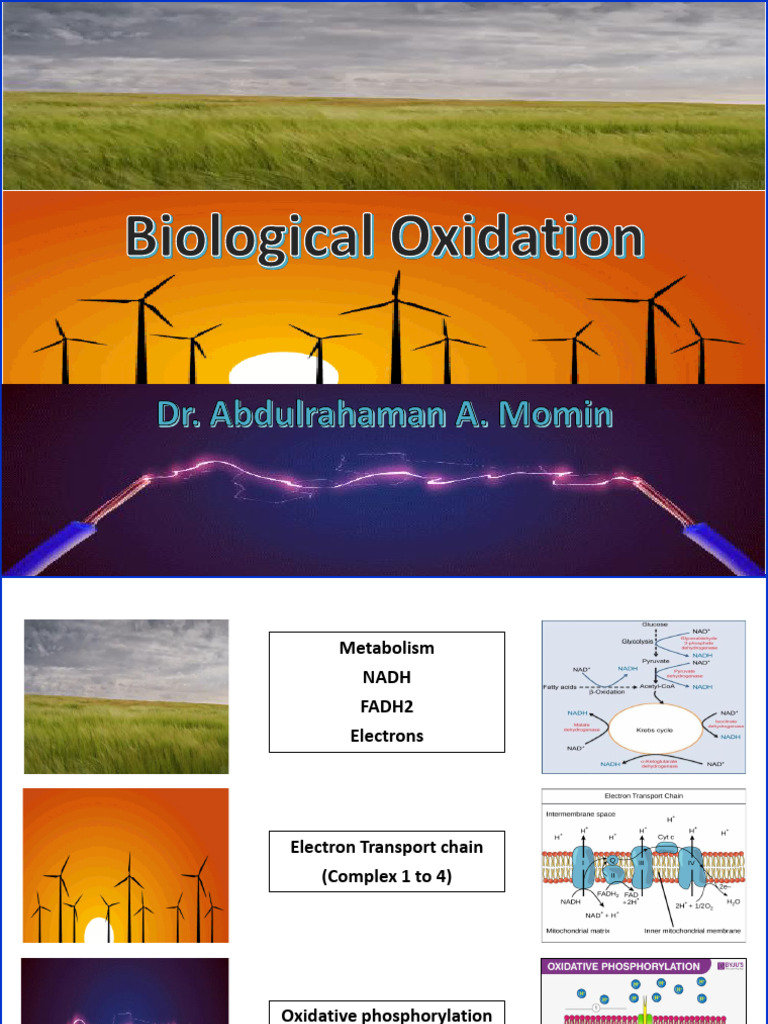 Understanding Biological Oxidation and ETC | PDF | Electron Transport ...
