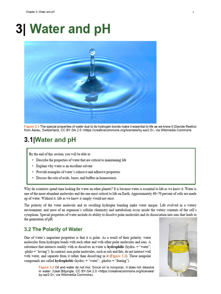 Water Properties and pH Explained | PDF | Ph | Solvation