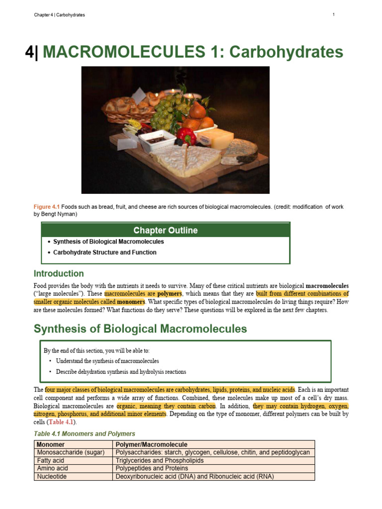 College Biology Chapter 4 Macromolecules Carbohydrates | PDF ...