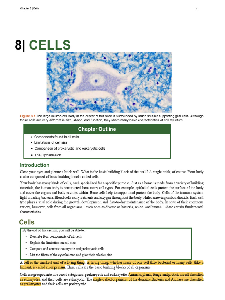 College Biology Chapter 8 Cells | PDF | Cell (Biology) | Cytoskeleton