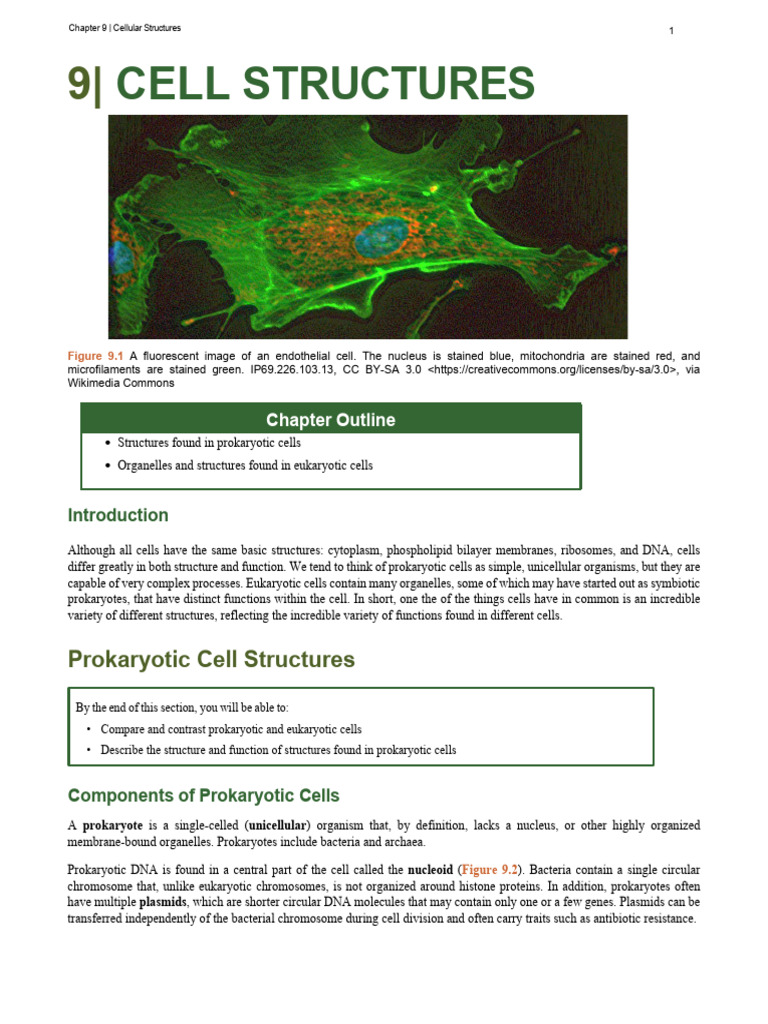 Prokaryotic vs Eukaryotic Cell Structures | PDF | Cell (Biology ...