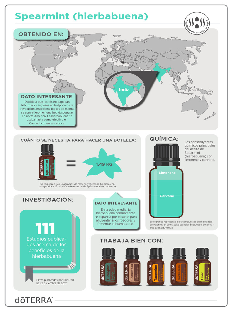infographic-spearmint | PDF
