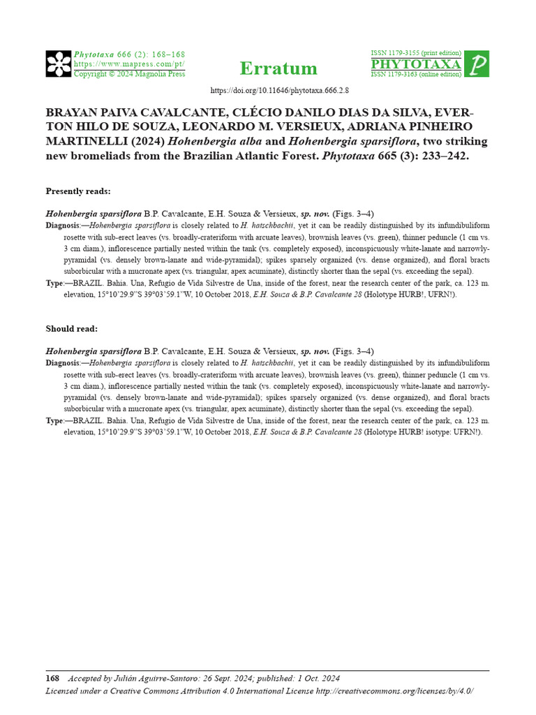 2024 Cavalcante Et Al 2024 Phytotaxa - H Alba and H Sparsiflora With Erratum | PDF | Flowers | Leaf