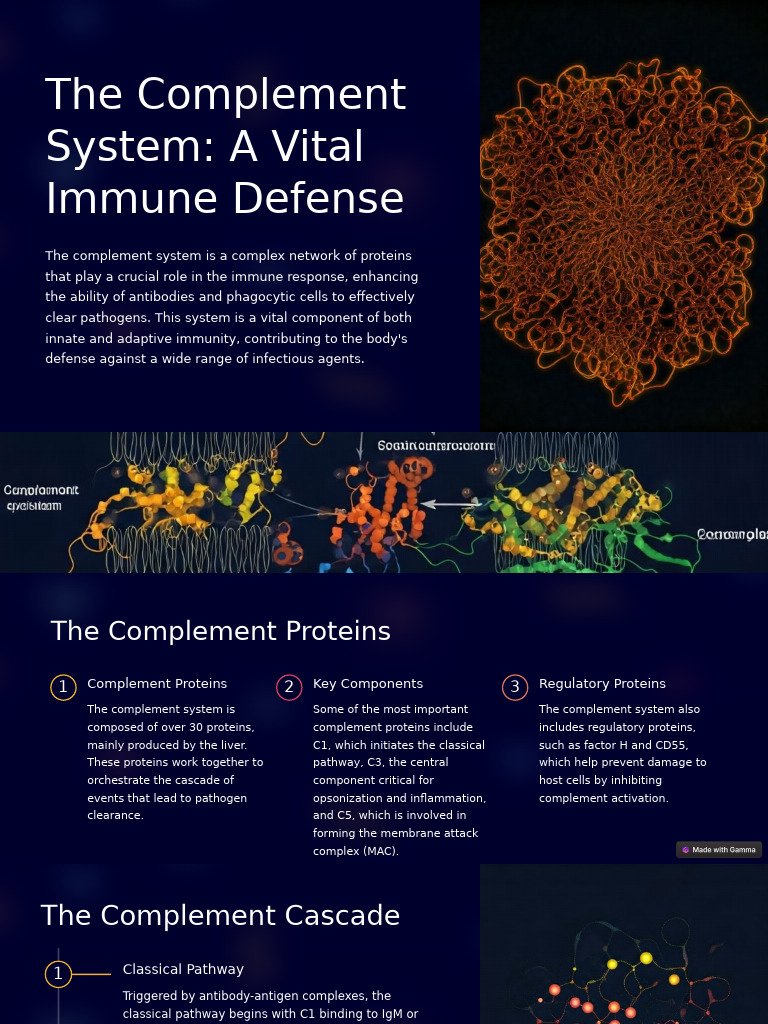 The Complement System A Vital Immune Defense | PDF | Complement System | Immunology