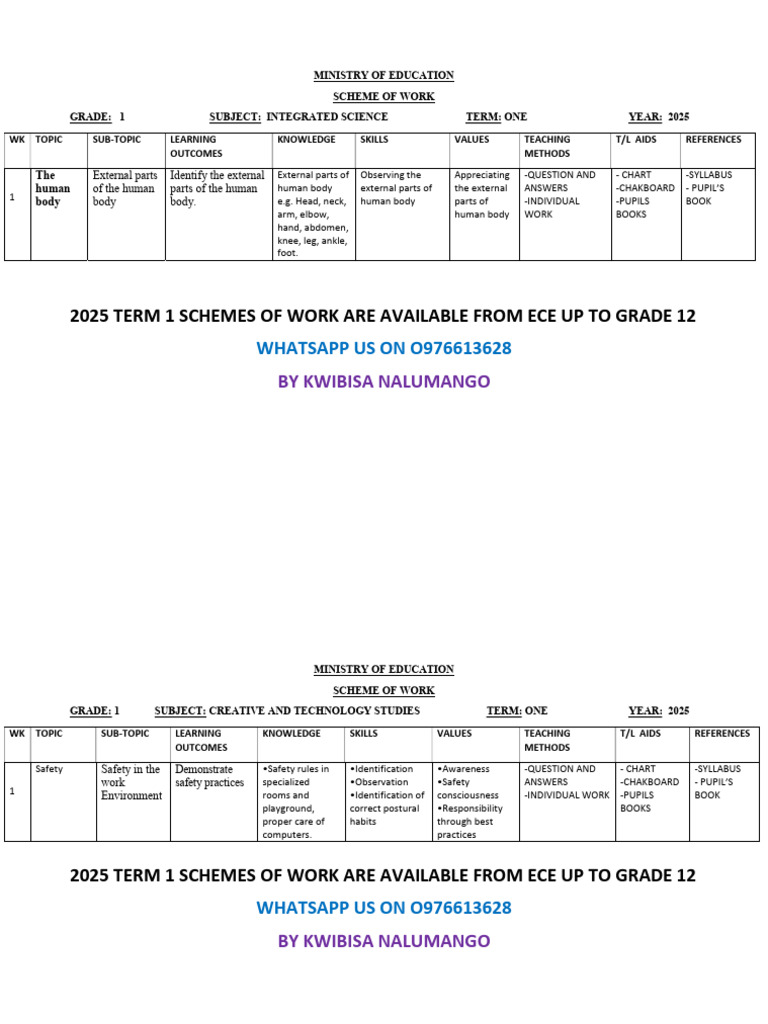 Grade 1-3 Schemes of Work 2025 Term 1 | PDF | Learning | Knowledge