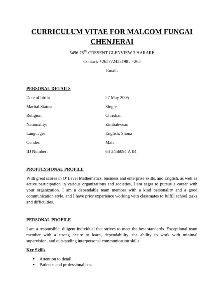 Malcom Fungai Chengerai CV | PDF