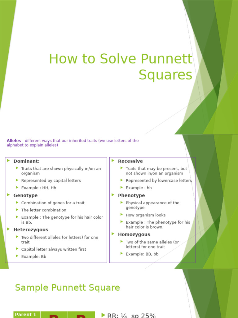 Understanding Punnett Squares Explained | PDF